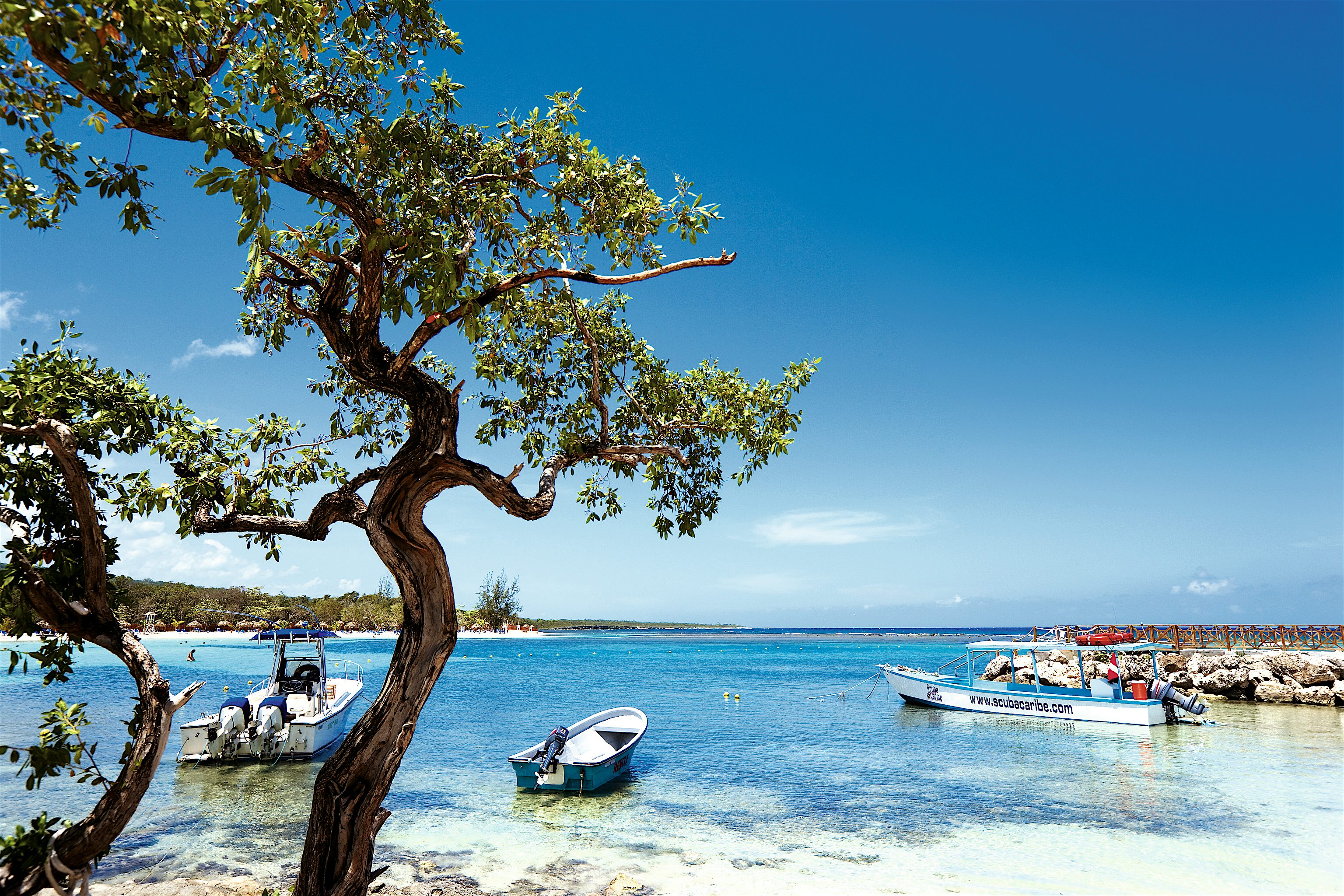 Rejser til Runaway Bay – Jamaica – bestil ferien her | TUI.dk